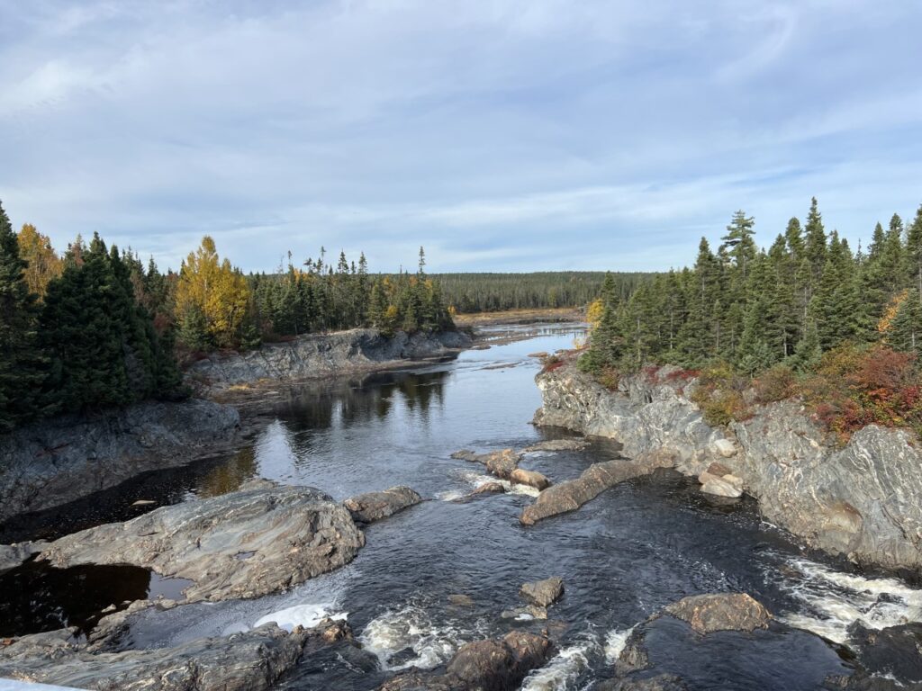 An ATV Ride Around Gander Lake - Steele Hotels