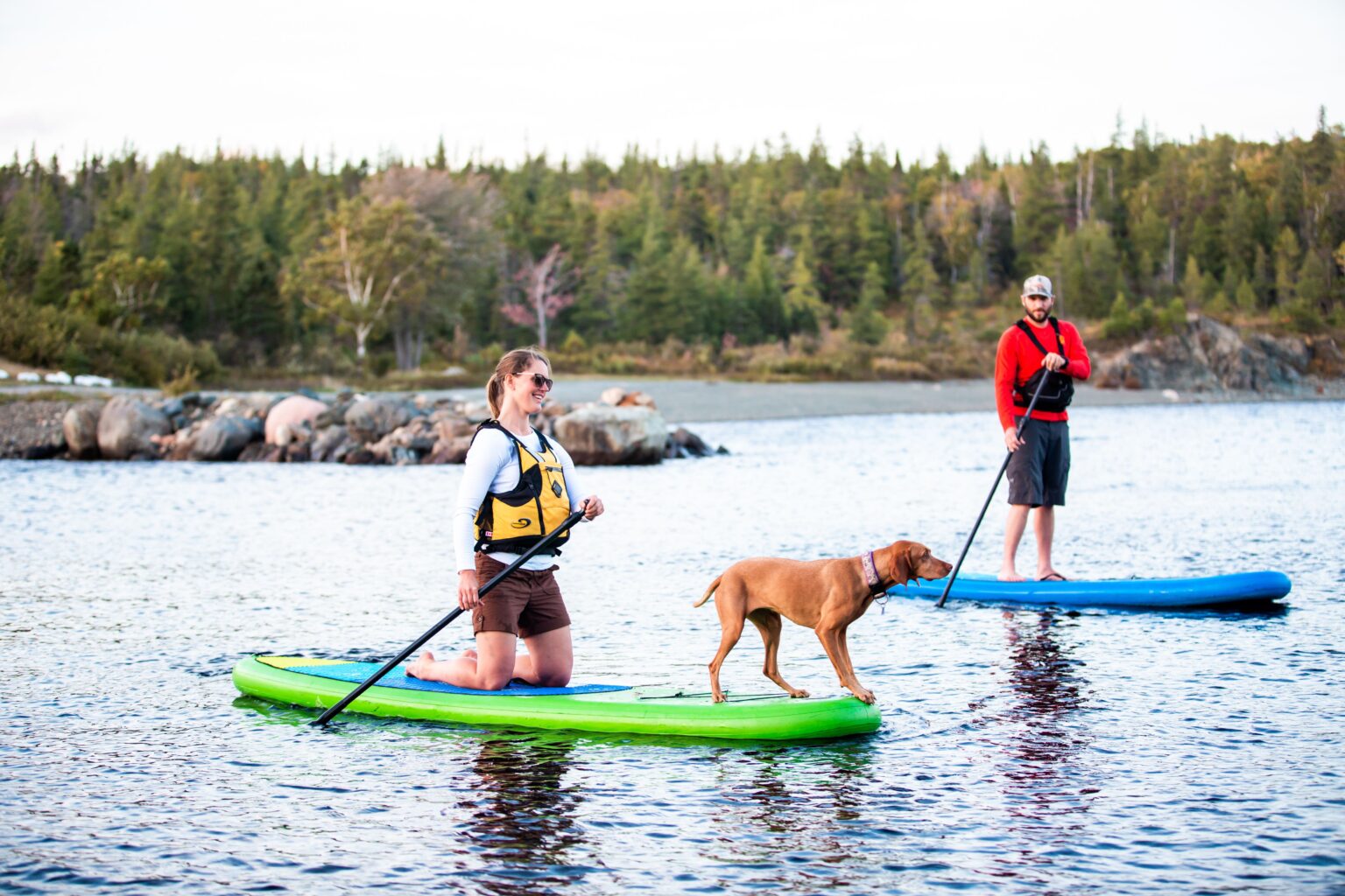 Top 10 Things to Do in Gander, NL, in Summer - Steele Hotels