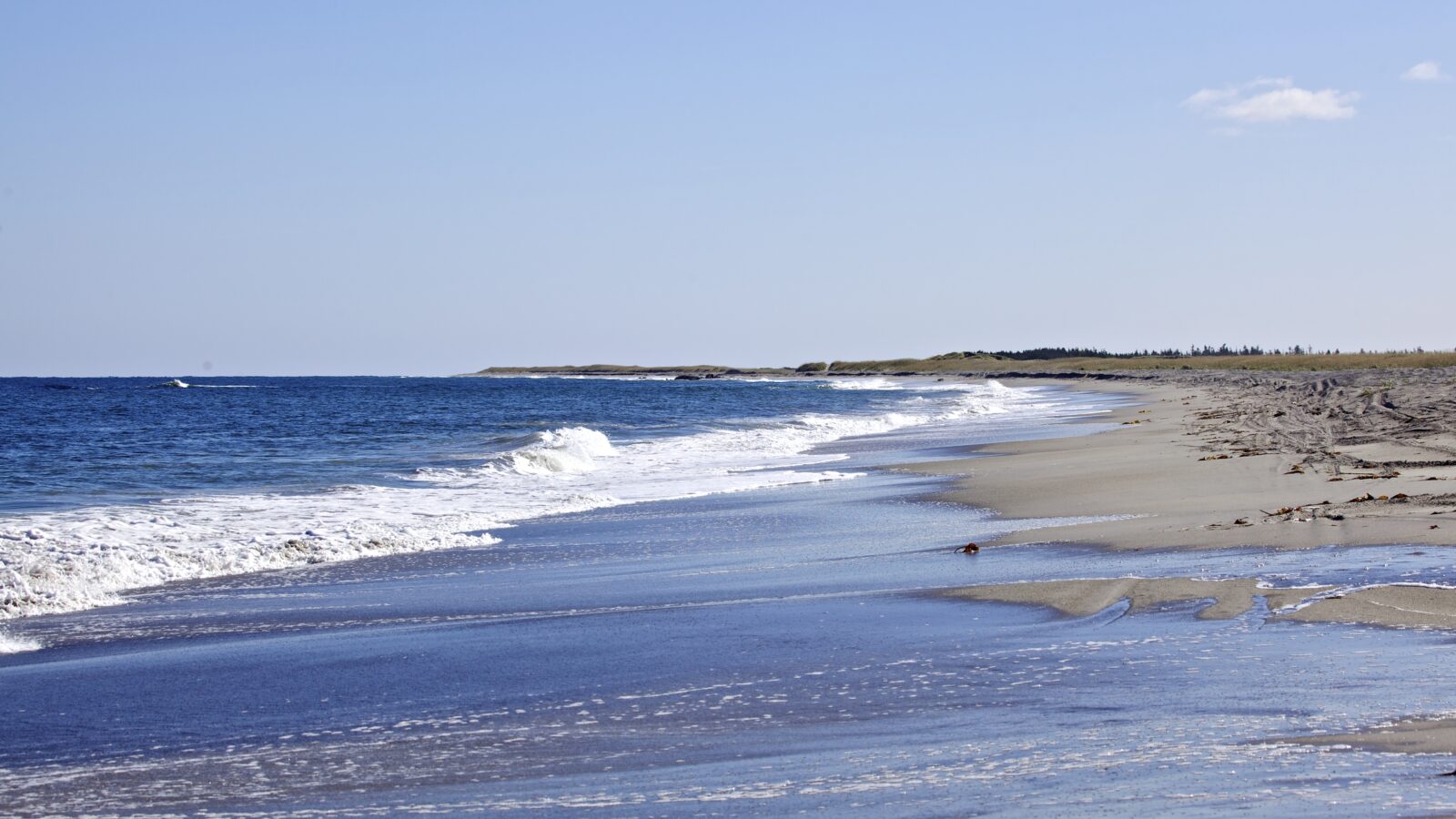 Top Beaches in Central Newfoundland - Steele Hotels